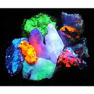 Set of 10 Medium Short Wave UV Reactive Fluorescent Mineral Rock Specimens