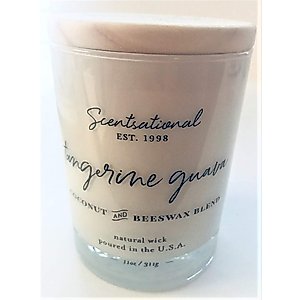 Natural Coconut + Beeswax Scented Candle Tangerine Guava White Jar with Wooden Lid