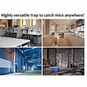 Rat Trap - Humane No Kill No Touch Live Rodent Trap that Works - Safe for Children and Pets - Indoor or Outdoor Use