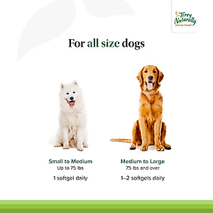 Terry Naturally Animal Health Curacel Curcumin - 60 Softgels - Optimal Cellular Support - Canine Only - 60 Servings