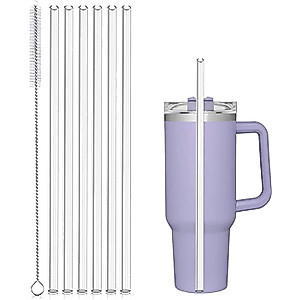 RaepperHan 6 Pack Reusable Replacement Straws for Stanley 40 oz Adventure Tumbler, Plastic Straws with Cleaning Brush, Compatible with Stanley 40oz Cup Water Jug (6* Plastic Straws for 40 oz), RH012