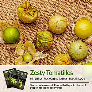 Survival Garden Seeds - Toma Verde Tomatillo Seed for Planting - Packet with Instructions to Plant and Grow Green Salsa Vegetables in Your Home Vegetable Garden - Non-GMO Heirloom Variety