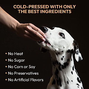 Gnawty Bites Biome Balance | Dog Probiotics for Healthy Gut Flora for Upset Stomach, Diarrhea, & Bowel Support with Digestive Enzyme & Lactobacillus (5-Strain Probiotic Blend), 120 Soft Chews