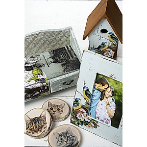 Mod Podge Photo Transfer Medium (8-Ounce), CS15067