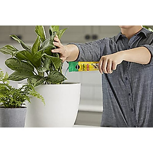 Miracle-Gro Pour & Feed Singles Ready-To-Use Liquid Plant Food - Pre-Measured Liquid Plant Fertilizer for Potted Plants, 2 oz. Singles