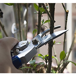 Coolife Professional Garden Bypass Pruning Shears, Heavy Duty Sharp Hand Pruner for Trees, Hedges, Bonsai, Shrubs and Roses