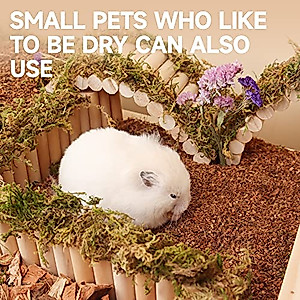 LUVCOSY Reptile Coconut Fiber Substrate & Forest Moss Combo Clean Bedding Accessories for Bearded Dragon/Snake/Lizard/Gecko/Tortoise, Tarantula Terrarium Tank Humidity Control and Odor Absorbent