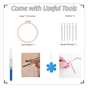 Highkick Embroidery Kit for Beginner,Embroidery Kit for Adults, All in one,Madame Butterfly,4 Pack