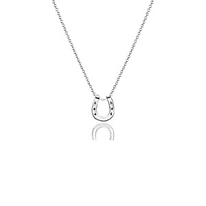 LANG XUAN Good Luck Horseshoe Pendant Friendship Chain Necklace with Meaning Card for Women Silver Gift