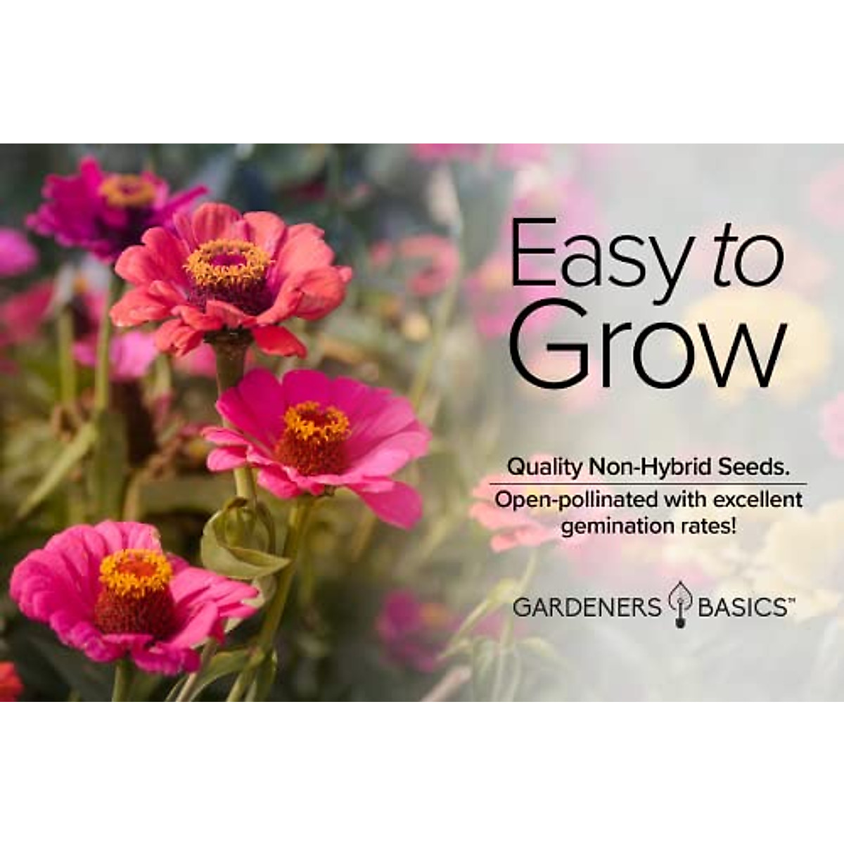 Zinnia Seeds for Planting Outdoors Flowers (Thumbelina) - Flower Seed Packet Annual Flower Heirloom, Non-GMO Variety- 800mg Seeds Great for Summer Seeds for Flower Gardens by Gardeners Basics