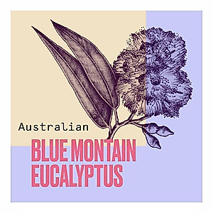 Aussie Mega Shampoo 300 ml (Pack of 3)