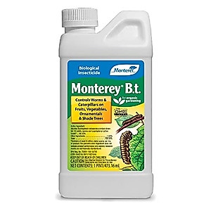 Monterey LG6332 Bacillus Thuringiensis (B.t.) Worm & Caterpillar Killer Insecticide/Pesticide Treatment Concentrate, 16 oz