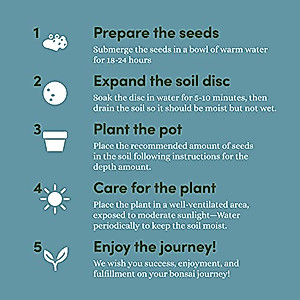 Bonsai Starter Kit - DIY Bonsai Growing Gift - Garden Hobbies for Adults, Women & Men : 4 Unique Tree Seeds, Soil, Pots, Pruning Shears, Plant Markers + Wood Gift Box