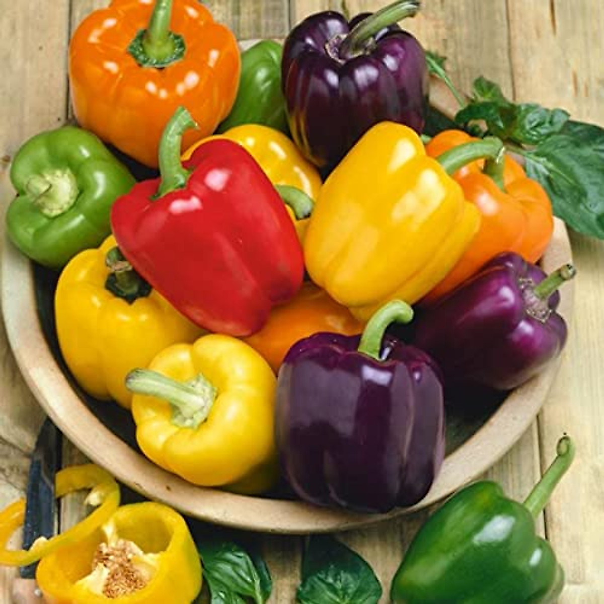 100+ Rainbow Blend Sweet Bell Pepper Seeds for Planting