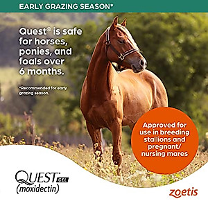 Quest Gel Moxidectin Horse Dewormer, Early Grazing Season recommended for Horses and Ponies 6 months and older, 0.5oz Sure-Dial Syringe