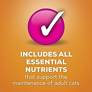 Purina Friskies Gravy Wet Cat Food, Meaty Bits Chicken Dinner - (24) 5.5 oz. Cans