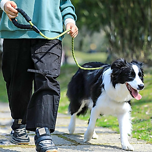 Anhozuo Dog Chew Toys for Aggressive Chewers Large Breed, Tough Durable Dog Toys, Real Bacon Flavor Skull Dog Chew Toys with 6 FT x 1/2" Durable Slip Lead Dog Leash