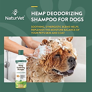 NaturVet – Hemp Deodorizing Shampoo for Dogs - Plus Oatmeal & Honey – 16 oz – Gently Cleanses & Deodorizes Skin & Coat – Enhanced with Hemp Seed Oil, Coconut Oil & Aloe Vera Extract