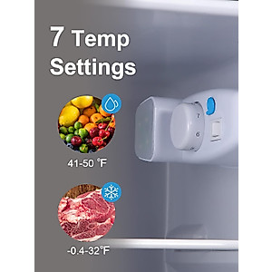 Maine Mini Fridge, Small Fridge with Freezer 3.2 Cu.Ft. 2-Door Compact Refrigerator with 7 Level Adjustable Thermostat Control Perfect for Kitchen Dorm Apartment Office Wood