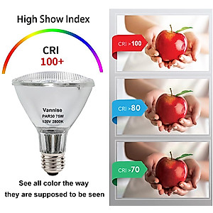 Vannise PAR30 Halogen Bulb 75W 120V, 6 Pack High Output 1000LM PAR30 Long Neck Halogen 75W with Warm White 2800K, PAR30 Dimmable, Long Lasting PAR30 Flood Light Bulb with E26 Medium Base