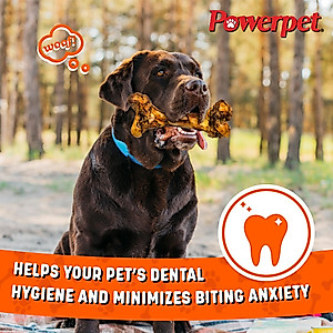 Powerpet Jr. Mammoth Bone - Halloween Dog Treats, Natural Beef Dog Chew Bones, Digestible Dog Bones w/High Calcium, for Dental Health, Large Breeds & Aggressive Chewers - Odorless, Smoked Flavor 1pc