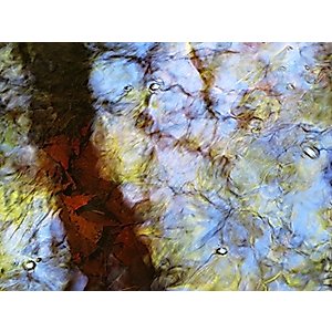 Posterazzi Abstract 28 Massachusetts Seekonk Caratunk Wildlife Refuge Ripples And Reflections On Water Surface. Poster Print, (16 x 12)