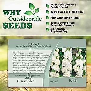 Outsidepride Malva Musk Mallow White Hollyhock Garden Flower Vines - 2000 Seeds