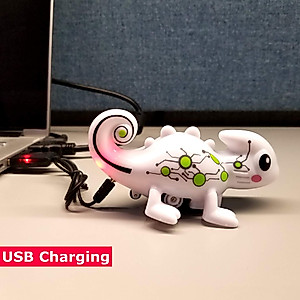 MUKIKIM Kool Kreepers - Color Tracer Chameleon. Inductive STEAM Toy for 3+ Year Old Girls & Boys. Follow Line + 5 LED Changing Colors/Sounds Lizard Toy for Kids