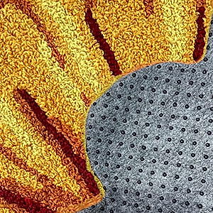 Sunflower Rug for Kitchen Bathroom Bedroom Living Room - Hand Woven Round Flower Floor Mat Modern Area Rugs Runner, Yellow