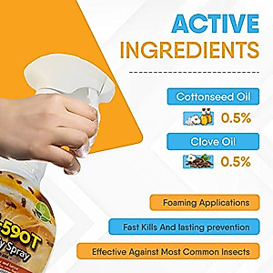 Gardner FlyWeb Fruit Fly Spray | All-Natural Spray for Flies, Bugs, Fleas, Ticks and Wasps - Does Not Leave a Residue, is Stain Free, Family and Pet Friendly (22oz)