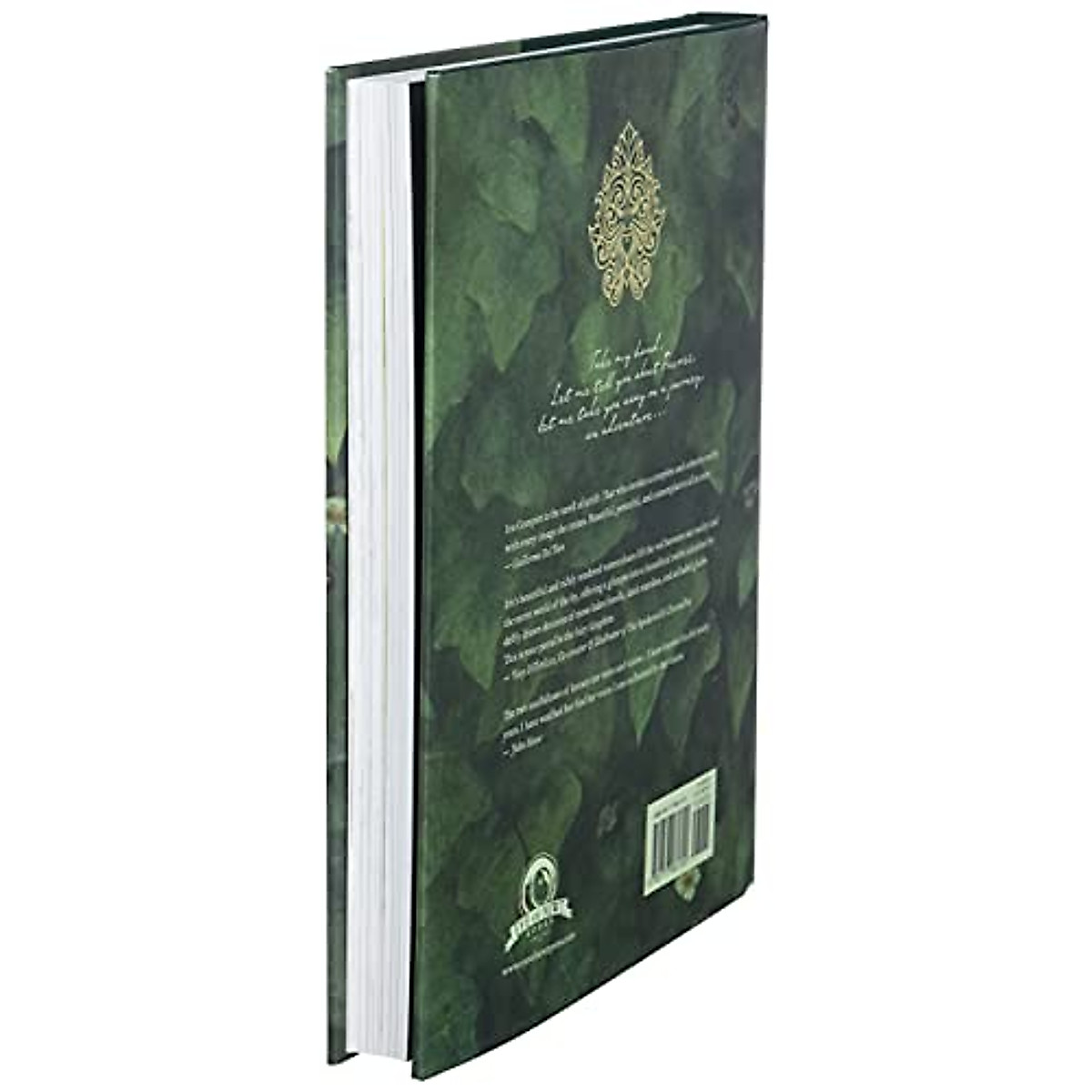 Faeries of the Faultlines: Expanded, Edited Edition