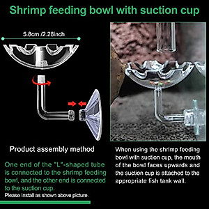 11.8 Inch Shrimp Feeding Tube with Shrimp Feeding Dish，Shrimp Feeding Bowl with Suction Cup，Feeding Tube Cleaning Brush，Aquarium Feeder with Bulb，Feeding Ring，Aquarium Sucker Feeding clamp,Fish net