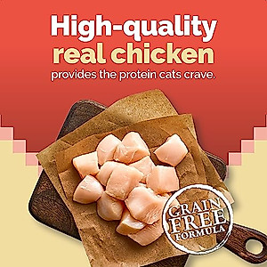 Blue Buffalo Cat Food for Indoor Cats, Hairball Control & Weight Management, Natural Chicken Recipe, Adult Indoor Dry Cat Food, 11 lb bag