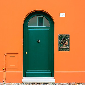 DAIERCY Retro Thick Metal Tin Sign-Into The Garden I Go to Lose My Mind and Find My Soul Sign -Novelty Posters，Home Decor Wall Art，Funny Signs for Home/Kitchen/Garage/Man Cave，Size 8x12 inches