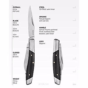 Kershaw Iredale Manual Folding Pocket Knife, 3 Bladed Knife with Micarta Handle, Clip Point and Sheepsfoot Blades, Nail Nick,Black