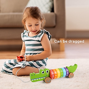 ANIKI Wooden Montessori Toys for Kids,Toddler Number Learning Toys,Preschool Math Games Classroom Activities,Fine Motor Toys,Preschool Boys Girls Gifts(Math Alligator)