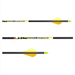 Carbon Express D-Stroyer SD Hunting Arrow Shafts, 12-Pack, Small Diameter .203”ID, High Modulus Carbon Weave, Dual Spine Weight Forward Technology, Laser Checked, Length 31.5” - 300, 350 or 400 Spines
