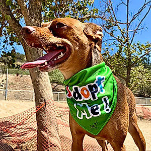Giving Paws - Adopt Me Dog Bandana - Puppy Bandanas with Sweet Sayings and Eye-Catching Solid Colors - Giving Back to Pets in Need - Green Bandanas for Dogs - Large/X-Large