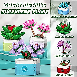 WISEPLAY Succulent Building Blocks Set - Christmas Stocking Stuffers for Woman and Teens Girls - Unique Flower Home Décor Idea - Build & Display Creative Building Project for Women and Teens