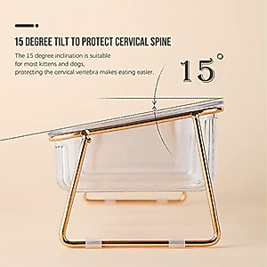 Elevated Cat Bowls, 5.5 inches Food & Water Bowls 15° Tilted Raised Food Feeding Dishes with Iron Stand for Cats and Puppy, with 2 Large Bowl and 4 Anti Slip Feet, Dishwasher Safe