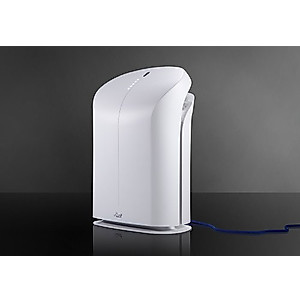 Rabbit Air BioGS 2.0 Ultra Quiet HEPA Air Purifier (SPA-550A White)