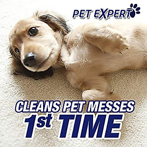 Resolve Ultra Pet Odor and Stain Remover Spray, Carpet Cleaner, 32oz (Pack of 1)