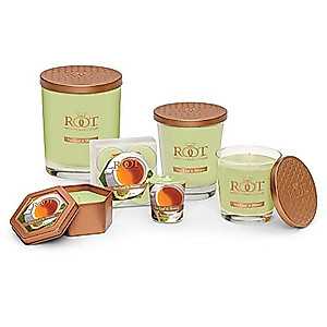 Root Candles 8870356 Honeycomb Veriglass Scented Beeswax Blend Candle, Large, Tea Leaf & Honey