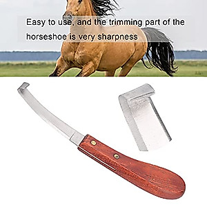 6 Piece Professional Farrier Tool Kits - Mini Goat Hoof Trimmers, Rasp Hoof File, Goat Pig Equine Hoof Nipper Cutter Handle Knife (12 Inch)