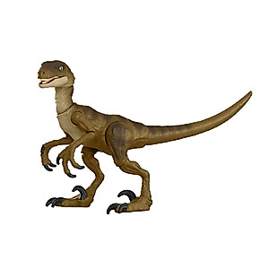 Jurassic World Toys Jurassic Park Hammond Collection Velociraptor Dinosaur Action Figure, 7.5 in Long with 14 Movable Joints, Gift and Collectible