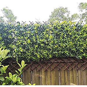 Helprise Expandable Willow Lattice Fence Panel Plant Support Garden Trellis Willow Trellis Fence for Climbing Plants Vine Ivy Rose Cucumbers Clematis Outdoors Garden Yard ,36X92 Inch(2PC)
