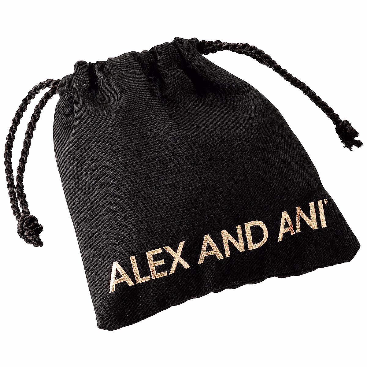 Alex and Ani Women's Aquarius Two Tone Bangle Bracelet