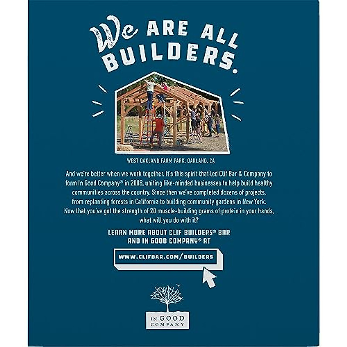 CLIF Builders - Chocolate Peanut Butter Flavor - Protein Bars - Gluten-Free - Non-GMO - Low Glycemic - 20g Protein - 2.4 oz. (12 Pack)