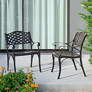 Nuu Garden Patio Dining Chairs Set of 2, Aluminum Outdoor Indoor Patio Chairs with Arms for Garden, Backyard, Porch, Black with Gold Points