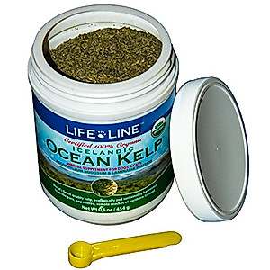 Life Line Pet Nutrition Organic Ocean Kelp Supplement for Skin & Coat, Digestion in Dogs & Cats,16oz, 20101